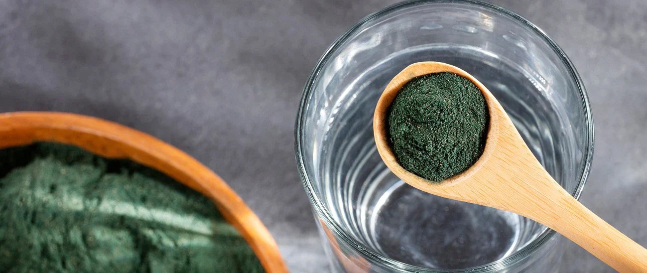 Why Algae Supplements Are Becoming Popular in Modern Nutrition – Sun ...